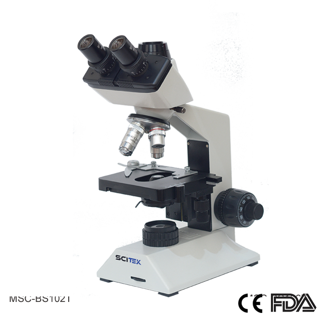 Biological Microscope - Scitek